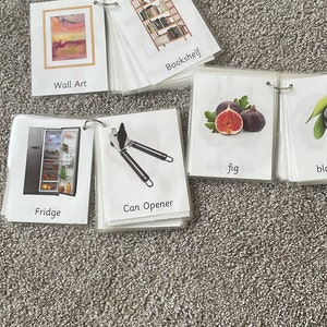 APPLE LIFE CYCLE 10 Montessori Cards Large Size A1 Flash - Etsy