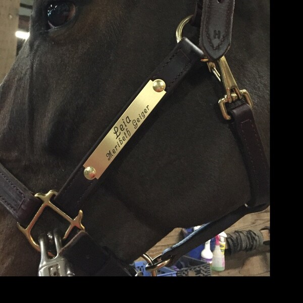 HALTER PLATE XLARGE .032" Solid Brass or .020" Nickel Silver Custom ...