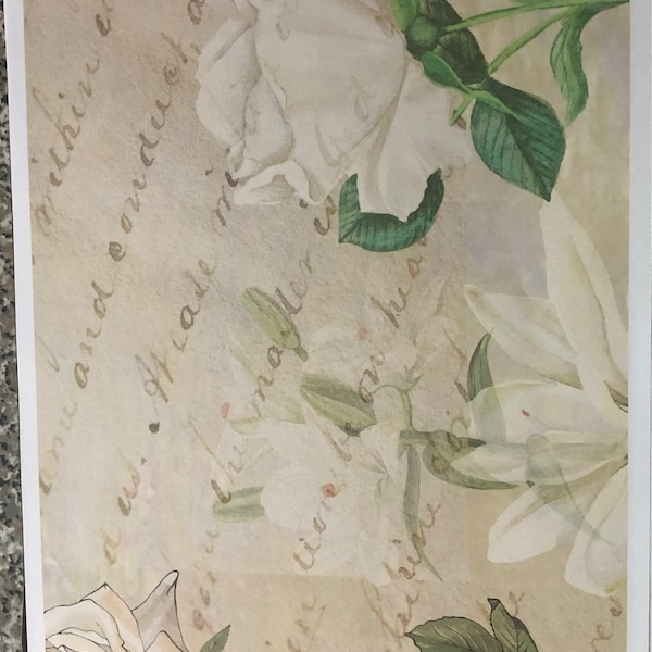 Vanilla Rose Signature Pages Digikit Digital Printable Background ...