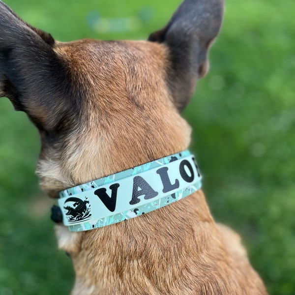 Custom Name Splatter Paint - Biothane Dog Collar - Two-tone 1.5 in ...