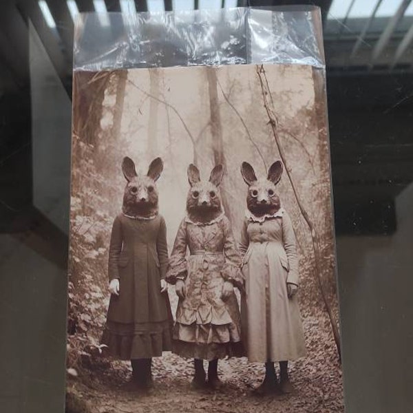 Rabbit Cult of the Forest, Vintage Photography, Art Poster Print, Dark ...