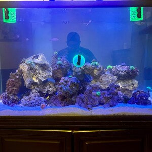 Red Sea Reefer LED 50 Light Shade 3D Printed Black or White Options - Etsy