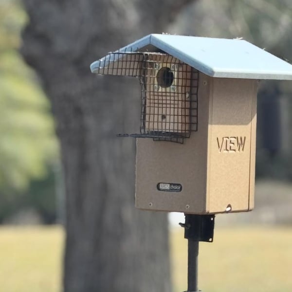Insulated Roost Box for Songbirds | Cedar | Predator Guard ...