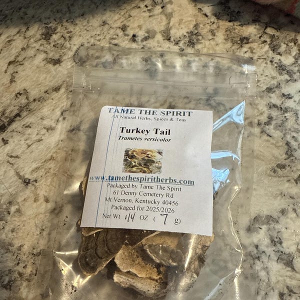 Osha Root - Wild Harvested Fresh Organic Herbs - Etsy