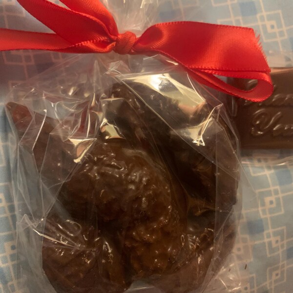 Chocolate Poop, Crap, Shit, Chocolate Dog Turd, Insulting Joke or Gag ...