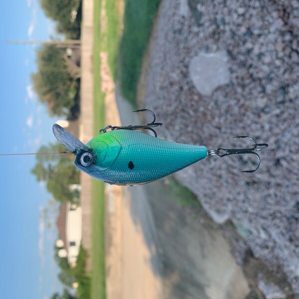 Custom Painted Jerkbait Bass Fishing Lure. Black and White Jerk Bait ...