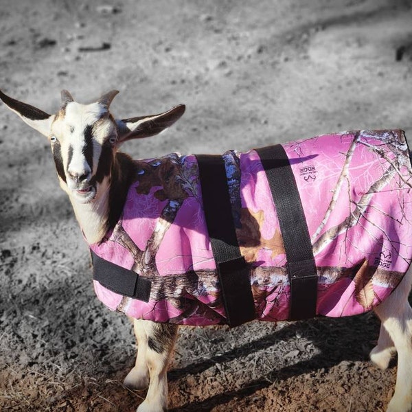 Insulated KID Goat Coat 14 Topline Perfect for NEWBORNS - Etsy