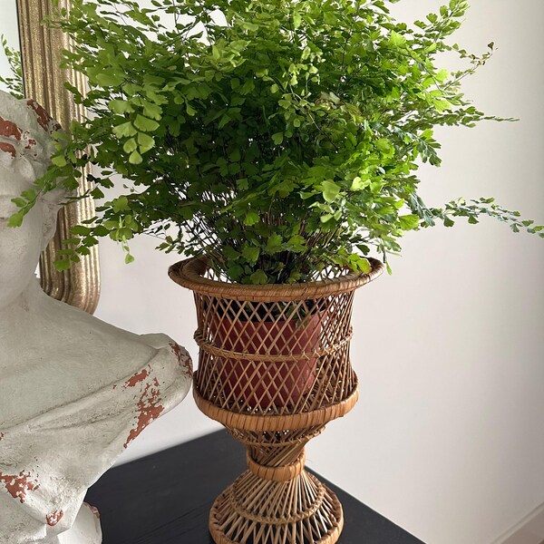 Vintage 1990s NOS Miniature Marlboro Red Pack Flip Top Box Matches ...