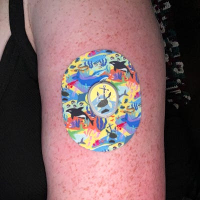 Dexcom Transmitter Stickers for Dexcom G7 Transmitter Decals Kid Dexcom ...