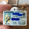Texas Driver Dog Id Tag Personalized License, Durable Dog Tag, Double ...