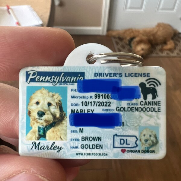 Texas Driver Dog Id Tag Personalized License, Durable Dog Tag, Double ...