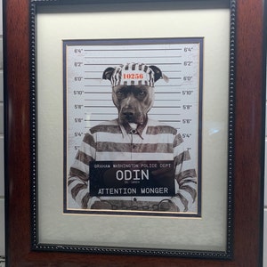 Mugshot Pet Portraits Using Pet Photo, Dog Lover, Digital Download ...