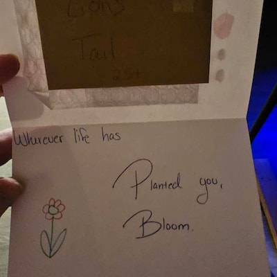 Red Book Bundle. Red Book Stack. Accent Pieces for Staging and ...