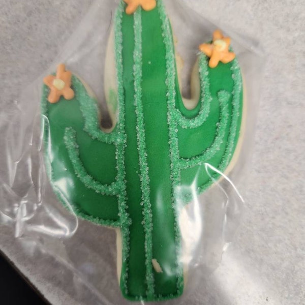 Cactus Cookies, Succulent Cookies, Fiesta Cookies, Cactus Bridal Shower ...