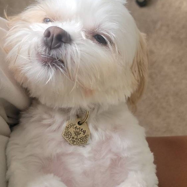 Mini Dog Tag for Dogs, the Bean, Dog Tag, Kidney Bean, Personalized ...