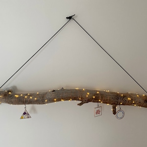 Glass Pressed Round Circle Flower Frame Forget Me Not Blue Wall Hanging ...