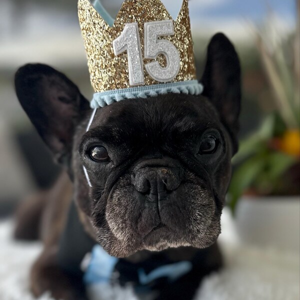 Dog Birthday Crown | Pet Birthday Crown | Dog Crown | Pet Crown Dog ...