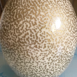 Decoupage Big 5 Ostrich Egg: This Ostrich Eggshell Piece Has Been ...