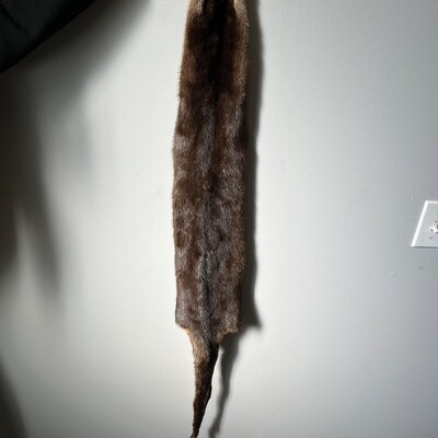 Tanned Fur Ermine Hides Pelts Skins Winter Long Tail Weasels 10 18 ALL ...