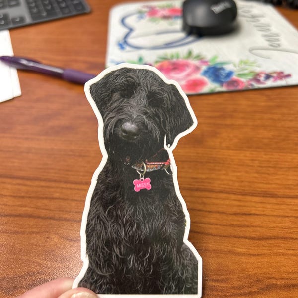 Custom Pet Stickers, Dog Mom Stickers, Personalized Animal Sticker - Etsy
