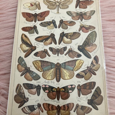 Mappy Birthday Handmade Card Using Original Vintage Map Pieces - Etsy