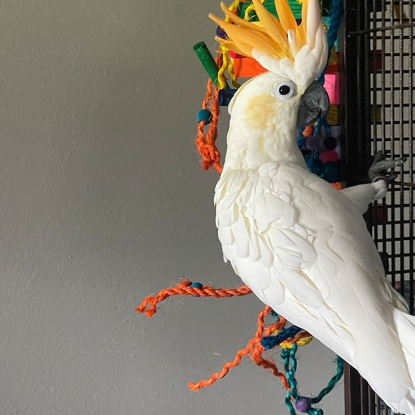 EXTRA LARGE Parrot Toy* the Wood Forager * Macaw*cockatoo*african Grey ...