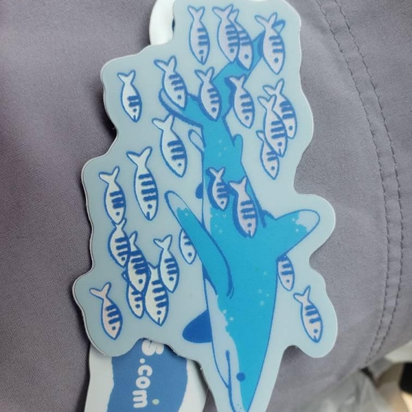 Elasmobranch Enthusiast Sticker | Shark Stingrays Ocean Lover Marine ...