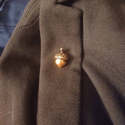 Copper Acorn Lapel Pin CC292C Nature, Woods, Hiking, Acorn and Oak Pins ...