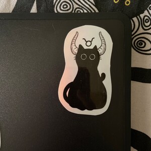 Summer Cat Sticker Bundle / Sticker Pack / Hydroflask Stickers - Etsy