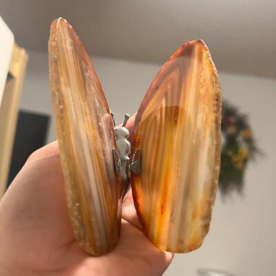 Crystal Collection Box Mineral Collection Box Natural Assorted Crystal ...