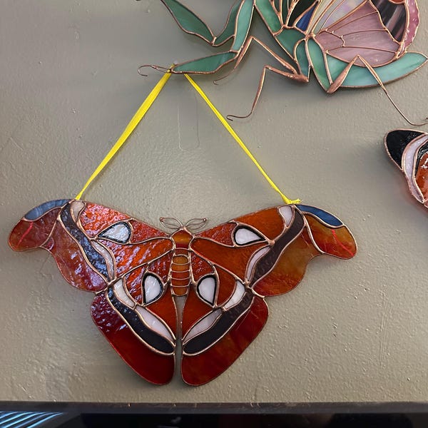 Atlas Moth Stained Glass Art Panel for Interior Window Dec - Etsy