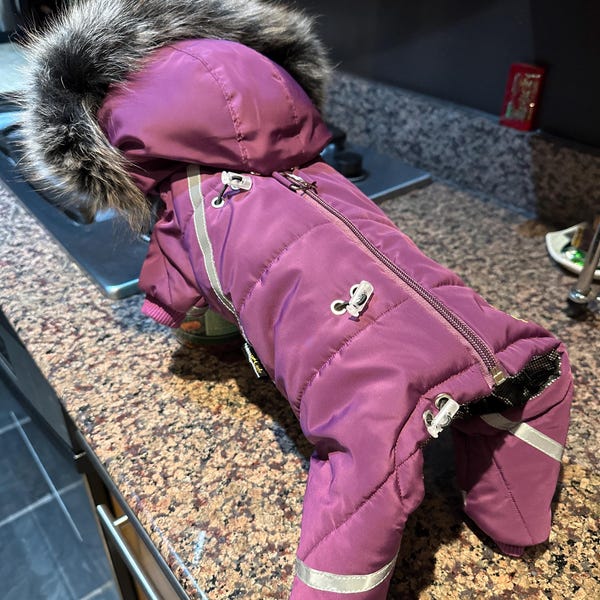 Dog Winter Clothes - Bright Overall - Snowsuit - Dog Full Body Suit ...