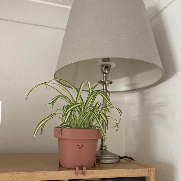 Reading Pot | Book Pot | Cute Plant Pot | Plant Pot | Sitting Planter ...