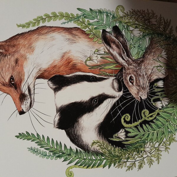 Black Rabbit - Watership Down (signed Art Print) - Etsy