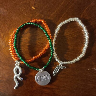 FAMU Keychain Florida A and M University Rattlers - Etsy