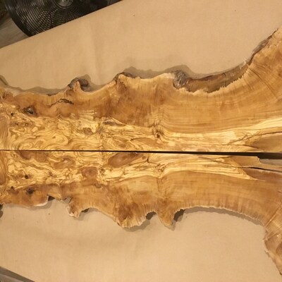 40 Ancient Olive Root Burl Slices - Etsy