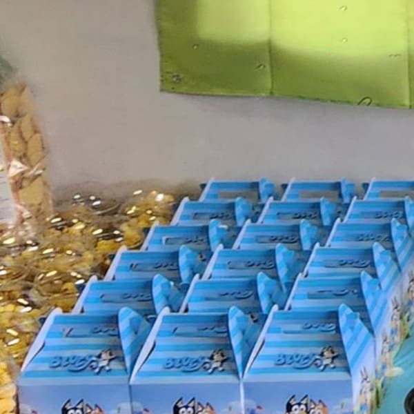 Blue Themed Party Favor Box | Blue or Pink Options - Etsy
