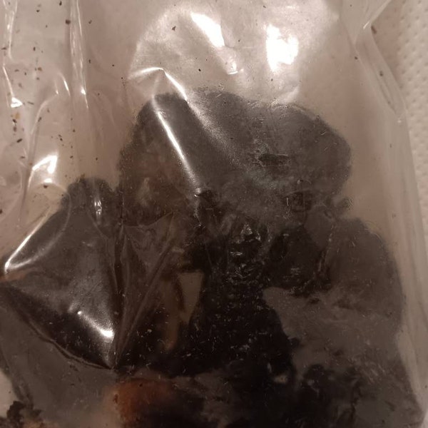 Ebevbarie/ Dried Fish/ 8 Pieces - Etsy