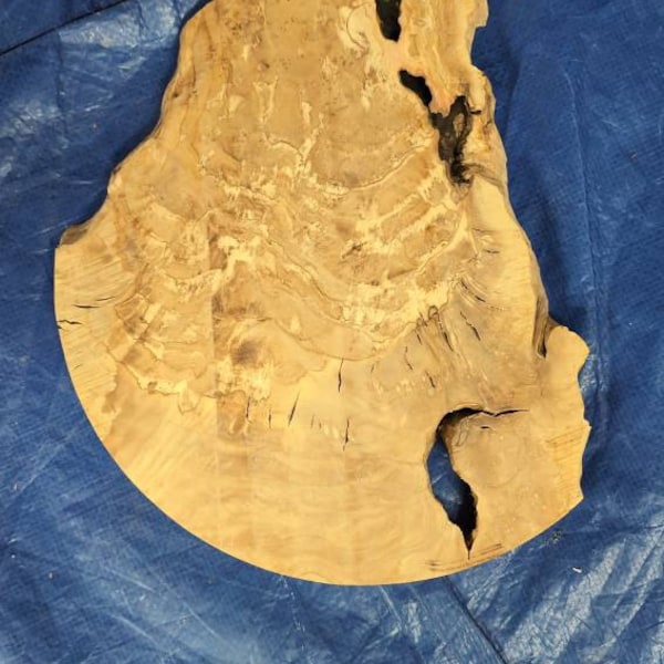 Olive Wood Slabs, Natural Olive Wood, Olive Wood Pieces, Olive Wood for ...