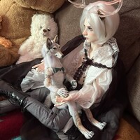 Full Set-bjd Doll 45CM Mermaid With Clothes Best Gifts for - Etsy UK