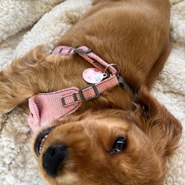 Cherry Pet ID Tag | Cherry Tag for Dogs | Summer Berries Cat ID Tags ...