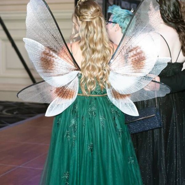 Transparent Fairy Wings: Butterfly Moth Elf Halloween Costume Wings - Etsy