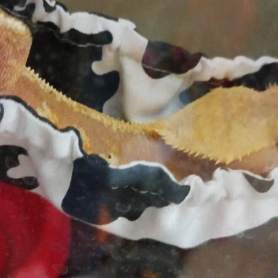 Gecko/lizard Hammock the Original Banana Style Gecko Hammock - Etsy