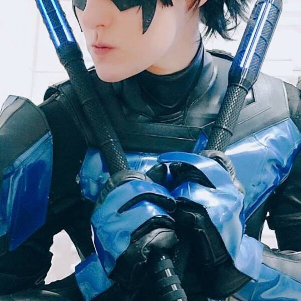 Nightwing Ecrisma Sticks Stl - Stl File - Nightwing Stl - 3D Model ...