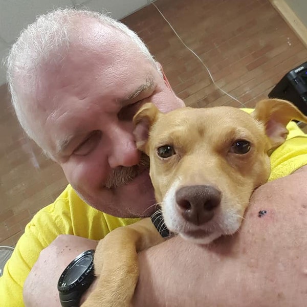 Mini Power Hone With Templates for Grinding Graver Point - Etsy