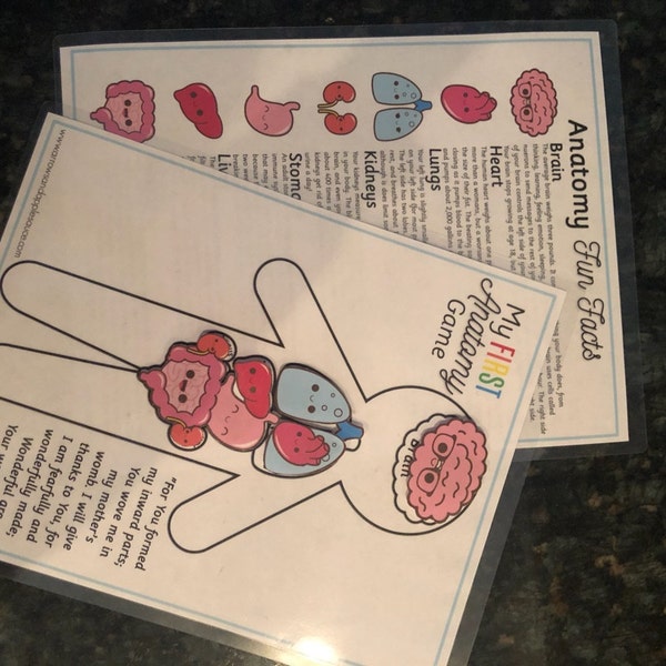 Anatomy Game, Printable Human Body Preschool Activity, About Me Kids ...