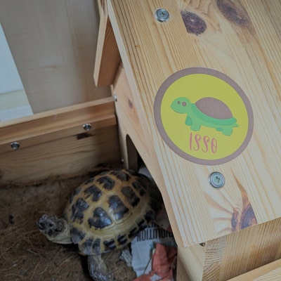 Lost Tooth Envelopes Set of 30 Teachers Classroom Lost Tooth School ...