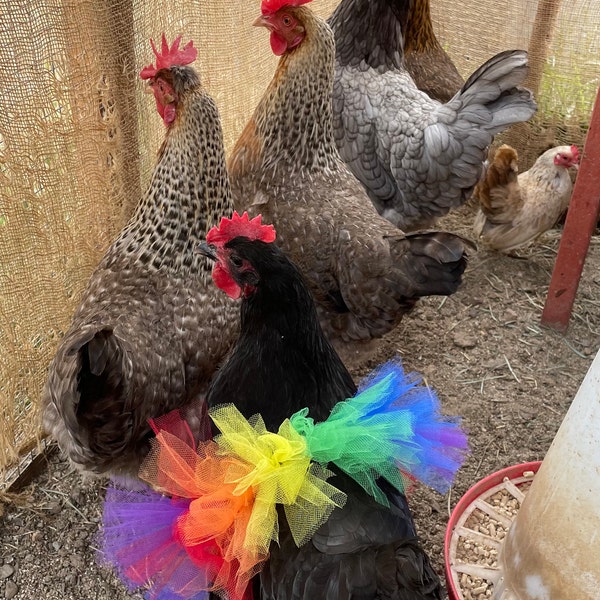 Rainbow Chicken Tutu - Etsy