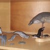 Livyatan Melvillei, Miniature to Scale; Replicas of Extinct Fauna of ...