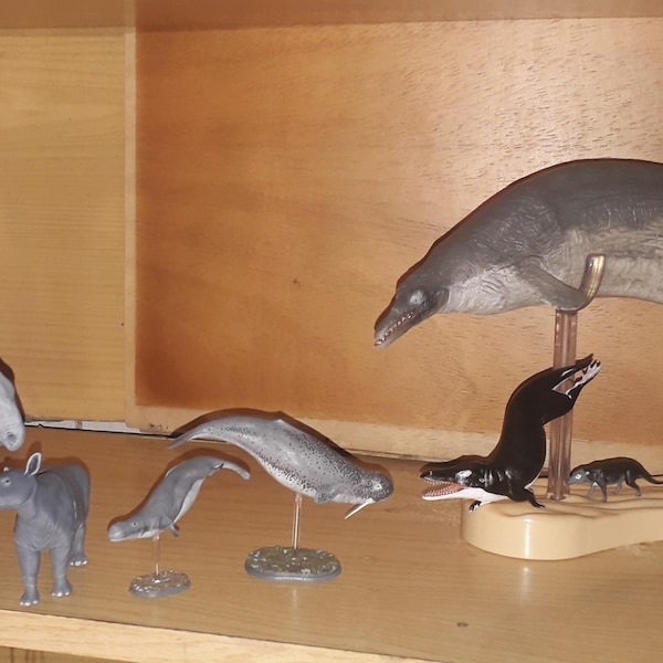 Livyatan Melvillei, Miniature to Scale; Replicas of Extinct Fauna of ...